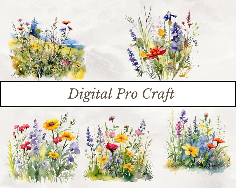 12 Wildflower Meadow Clipart Watercolor Clipartflowers - Etsy