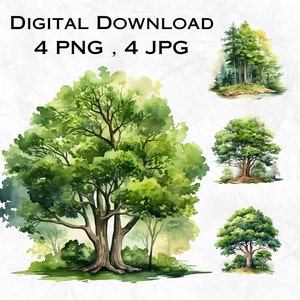Watercolor Forest Tree Clipart Set With PNG and JPG Files - Etsy