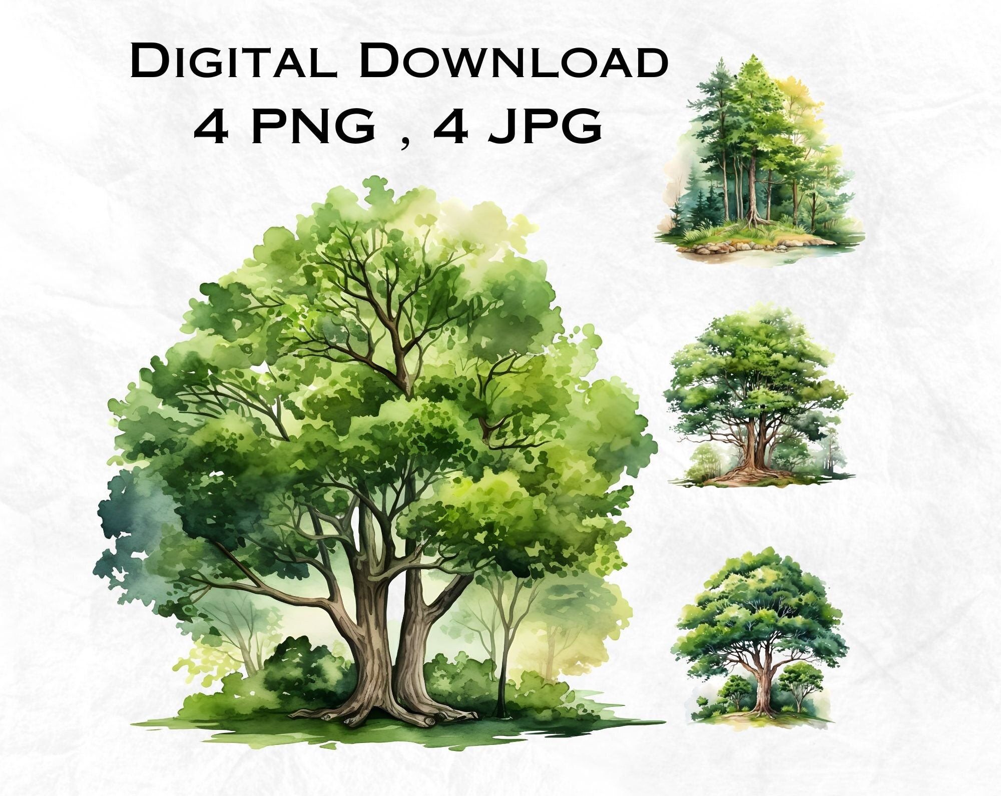 Watercolor Forest Tree Clipart Pine Tree Png and Jpgwoodland - Etsy