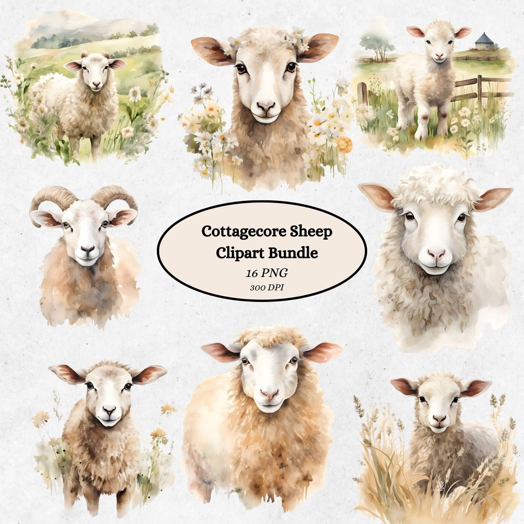 Cottagecore Sheep Clipart Bundle, Farm Animal Illustration, Rustic ...