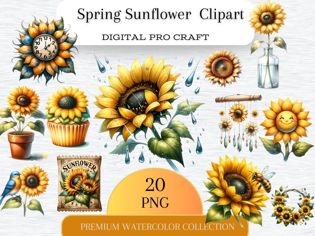 Set of 20 Spring Sunflowers Clipart Bundle,watercolor Sunflower PNG ...