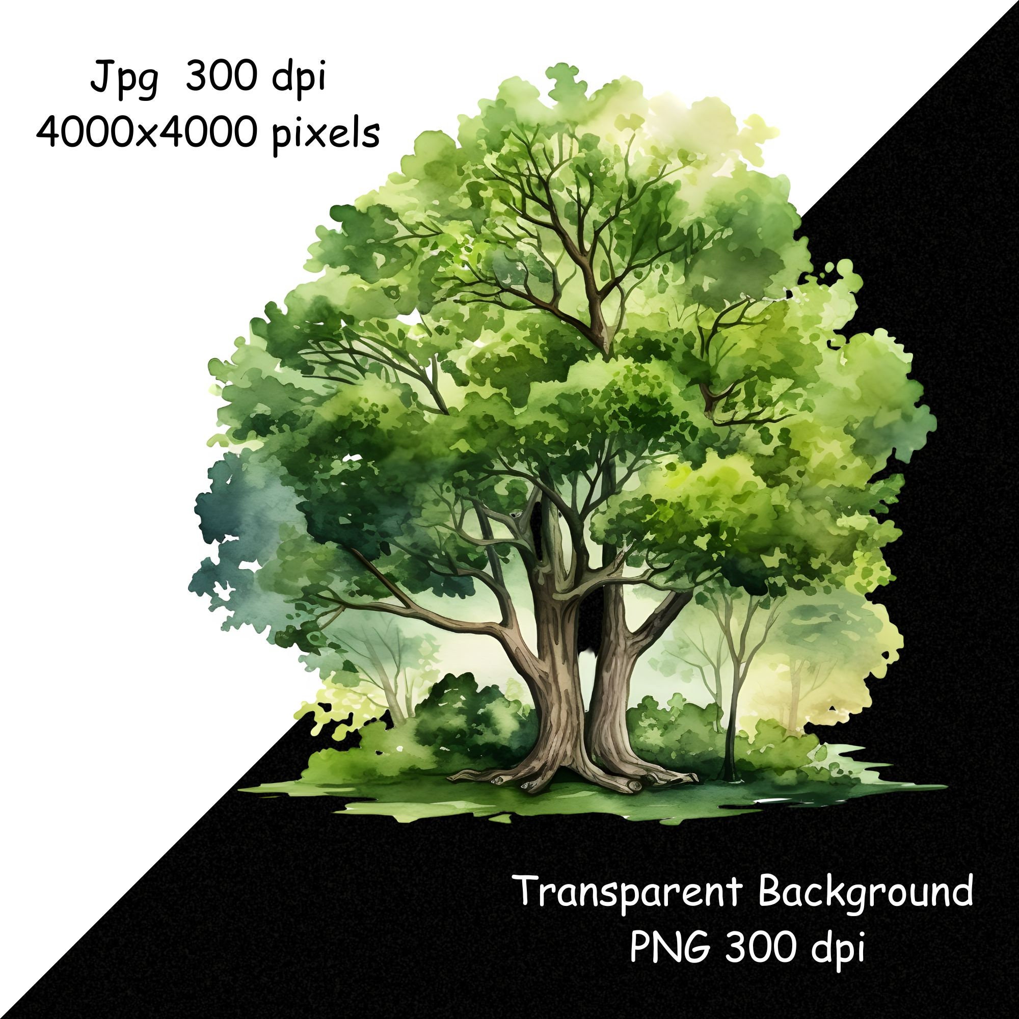 Watercolor Forest Tree Clipart Pine Tree Png and Jpgwoodland - Etsy