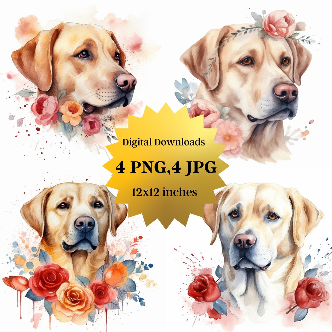 Cute Labrador Dog Clipart,4 High Quality JPG & Png-nursery Art,instant ...