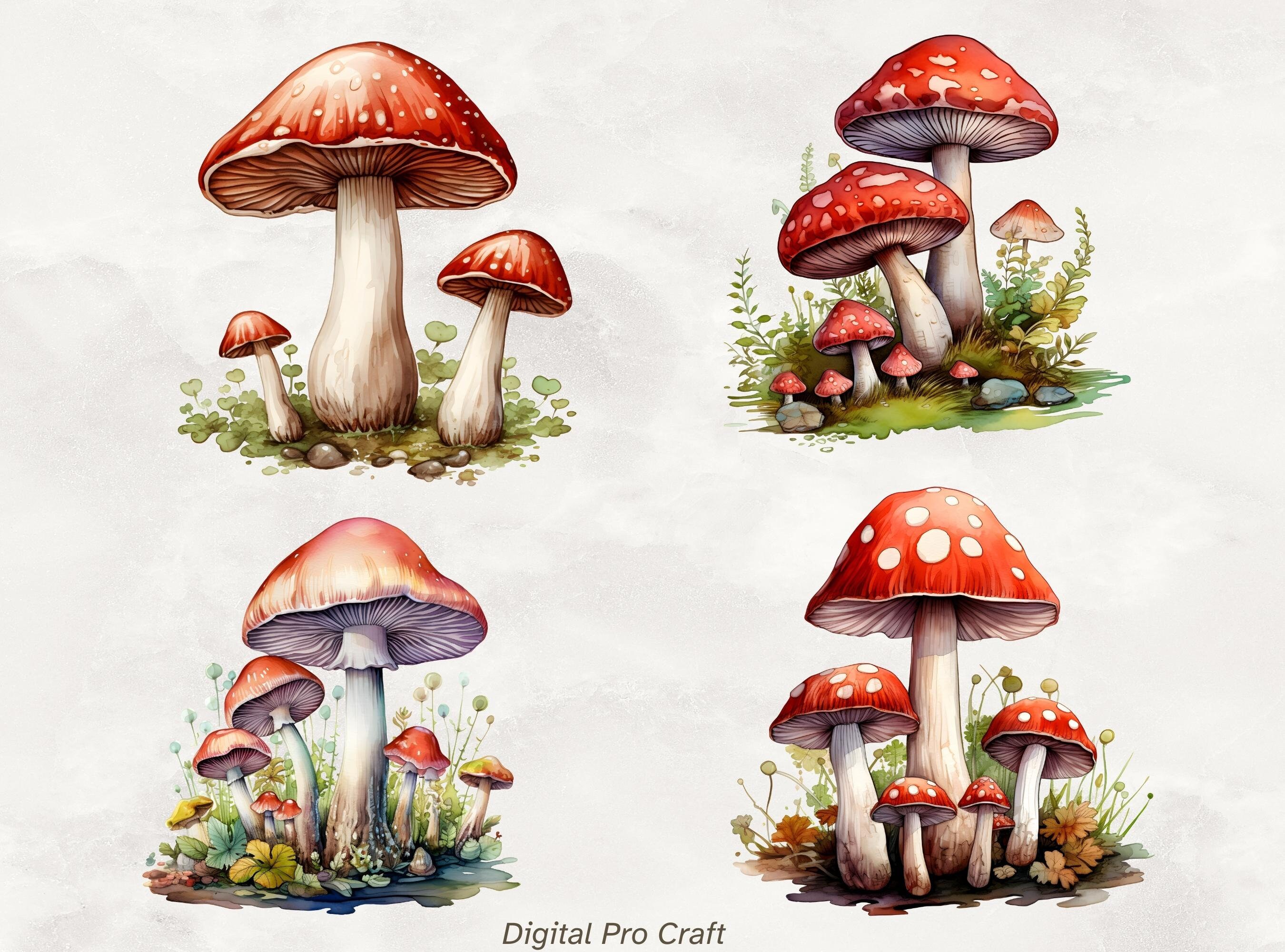 Mushroom Watercolor Clipart Watercolor Forest Art Fantasy - Etsy