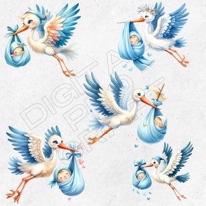 Stork Baby Boy Delivery Clipart Bundle, Newborn Announcement Graphics ...