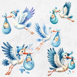 Stork Baby Boy Delivery Clipart Bundle, Newborn Announcement Graphics ...