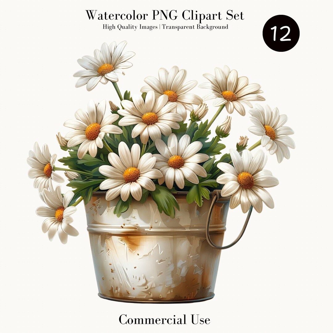 Watercolor Daisy Clipart Bundle, Floral PNG Set, Digital Download ...