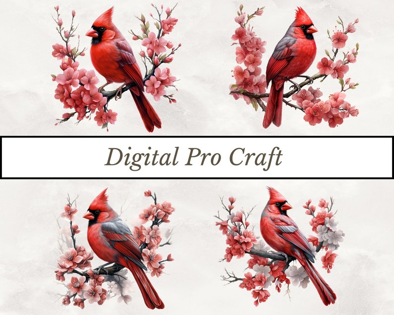 Red Cardinal Clipart, 12 High Quality PNG, Nursery Art, Digital ...