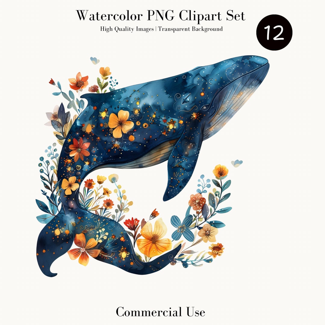 Floral Whale Watercolor Clipart, High Quality PNG, Digital Download ...