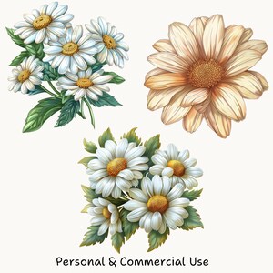 Watercolor Daisy Clipart Set, Digital Download, Commercial Use, PNG ...