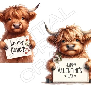 Valentines Day Highland Cows Clipart PNG Bundle, Valentines Day Cow ...