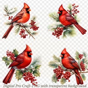 32 Christmas Red Cardinal Clipart, Watercolor Clipart, Bird Clipart ...