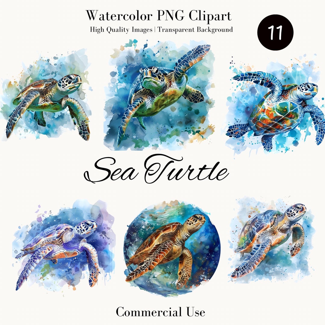 11 Sea Turtle Clipart Set, Marine Turtle Printable Watercolor, High ...
