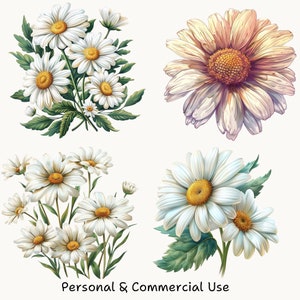 Watercolor Daisy Clipart Set, Digital Download, Commercial Use, PNG ...