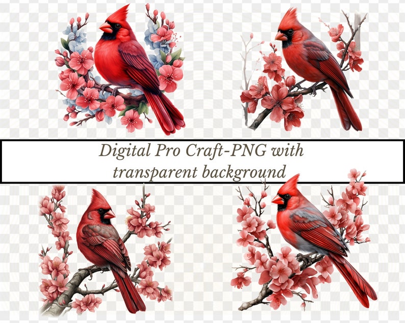Red Cardinal Clipart, 12 High Quality PNG, Nursery Art, Digital ...