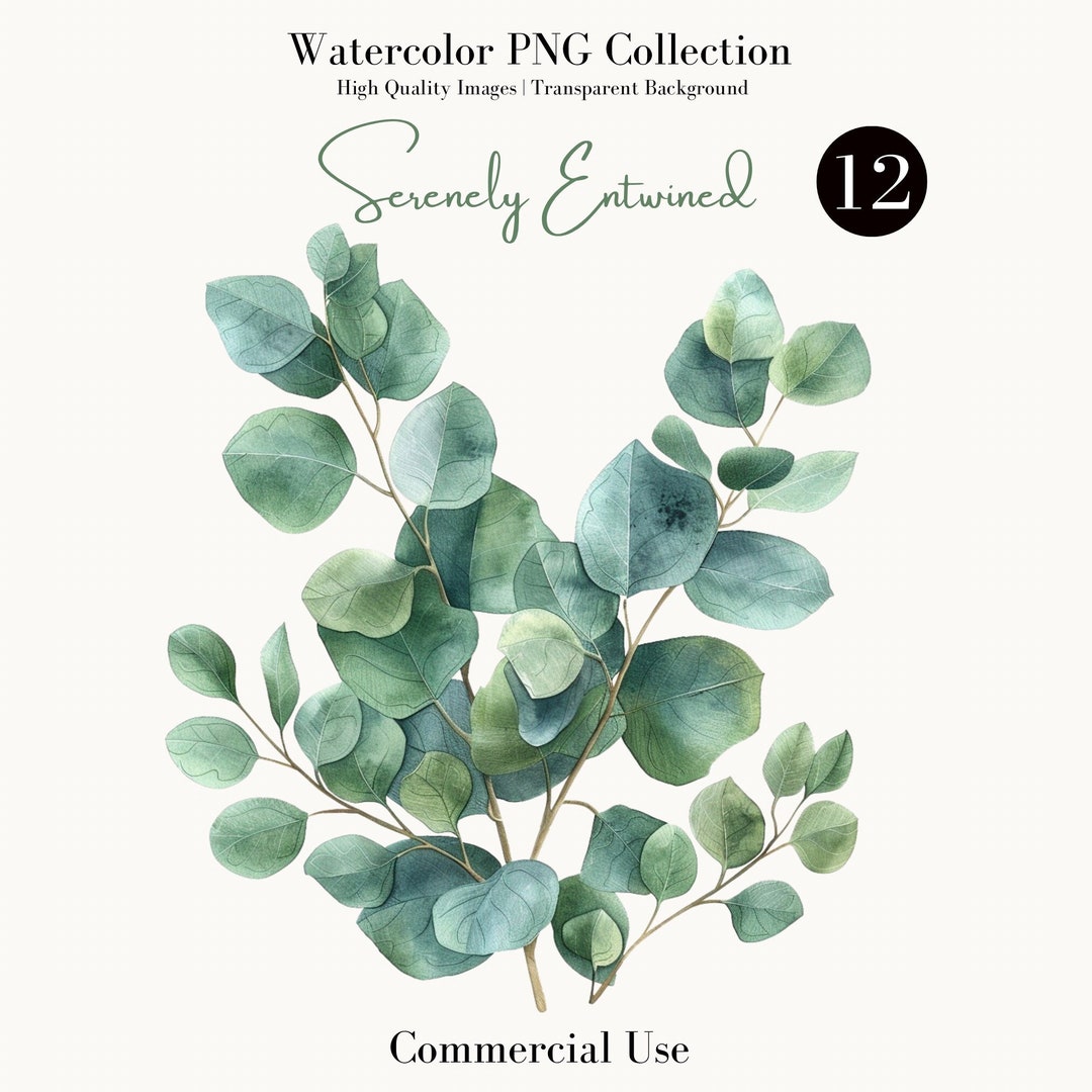 Watercolor Eucalyptus PNG Clipart, Serene Leafy Greenery Set ...