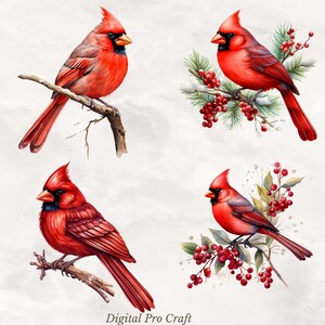 32 Christmas Red Cardinal Clipart, Watercolor Clipart, Bird Clipart ...