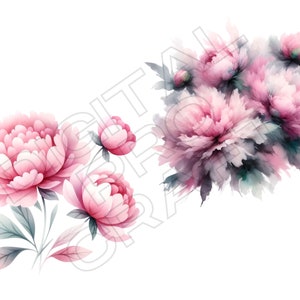 Pink Peonies Clipart Bundle, Watercolor Flowers Clipart, Valentines Png ...
