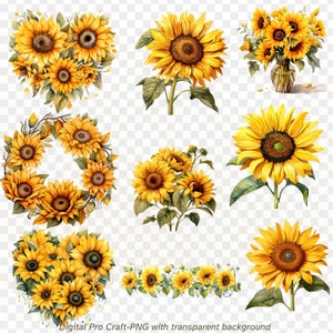 Set of 30 , Sunflowers Clipart Bundle , Watercolor Sunflower PNG ...