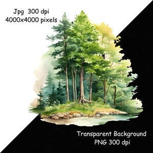 Watercolor Forest Tree Clipart Set With PNG and JPG Files - Etsy