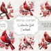 Red Cardinal Clipart, 12 High Quality PNG, Nursery Art, Digital ...