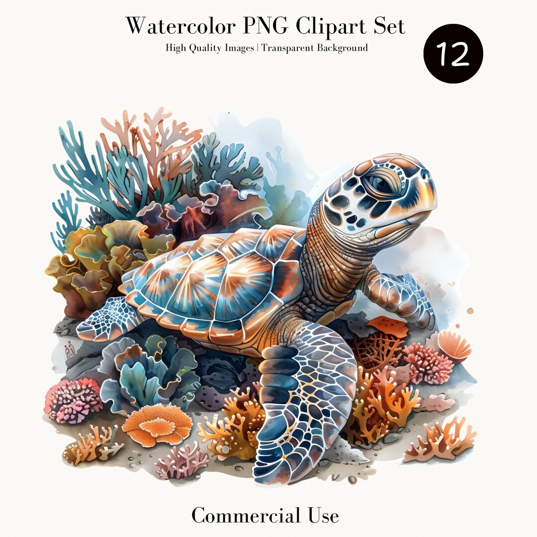 Watercolor Sea Turtle Clipart Set, Digital PNG, Ocean Life Illustration ...