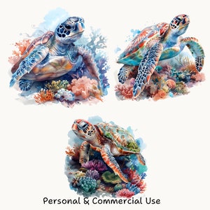 Watercolor Sea Turtle Clipart Set, Digital PNG, Ocean Life Illustration ...