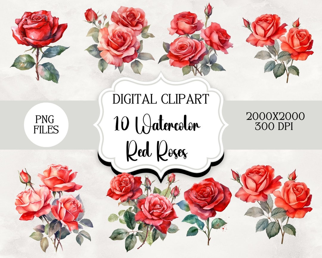 10 Watercolor Red Roses Clipart-roses and Leaves in PNG Format Instant ...