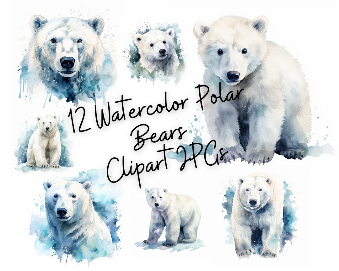 12 Watercolor Polar Bear Clipart, Jpgs, Commercial Use, Digital ...