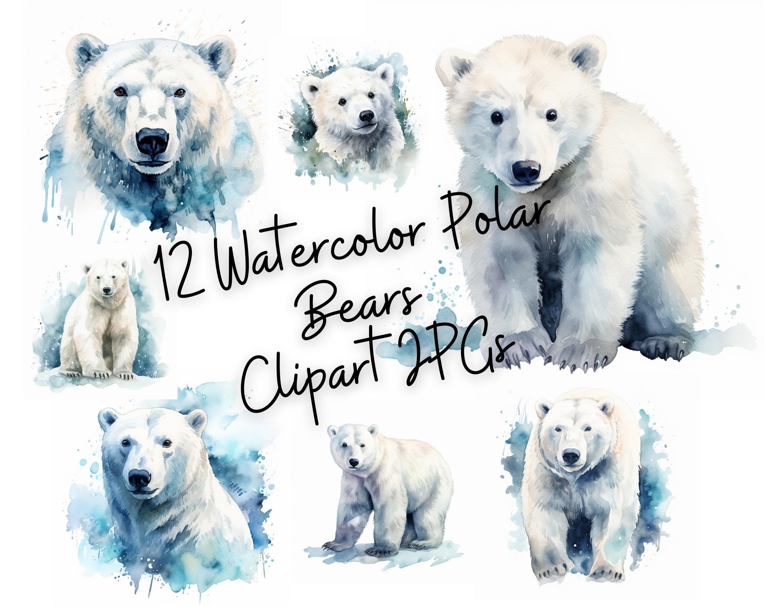 12 Watercolor Polar Bear Clipart Jpgs Commercial Use - Etsy