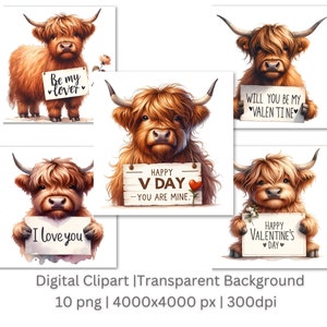 Valentines Day Highland Cows Clipart PNG Bundle, Valentines Day Cow ...