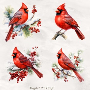 32 Christmas Red Cardinal Clipart, Watercolor Clipart, Bird Clipart ...