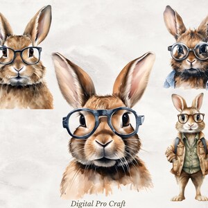 The Original Funny Bunny Design Bundle, Funny Rabbit Illustration ...