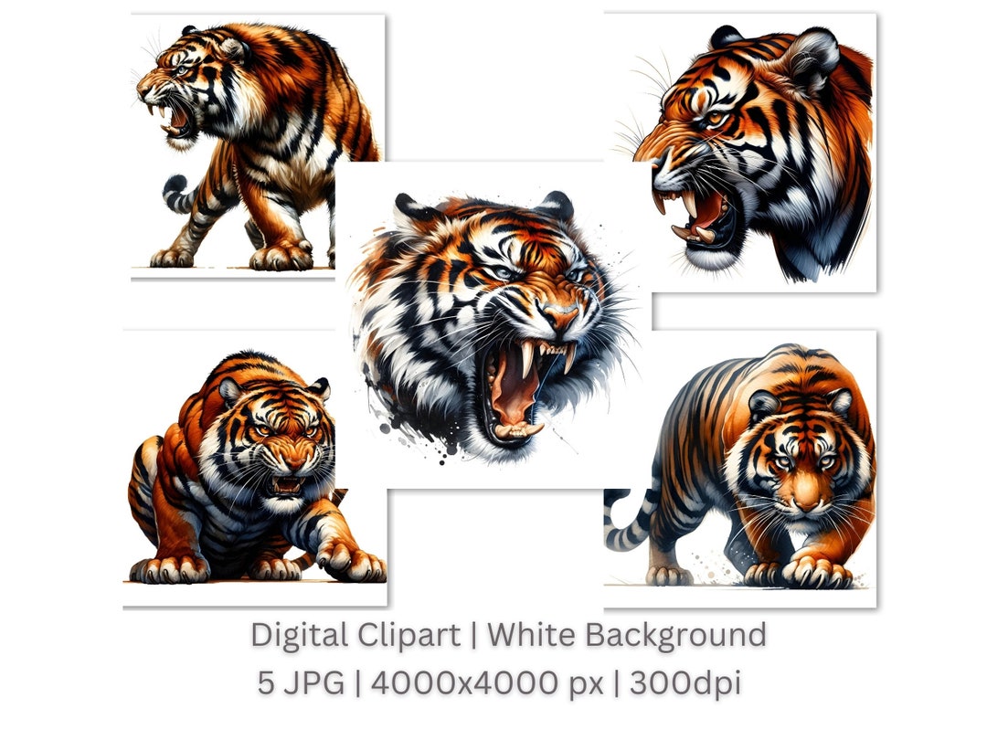 Angry Tiger Clipart | 5 JPG High-quality Images | Wildlife Art | Fierce ...