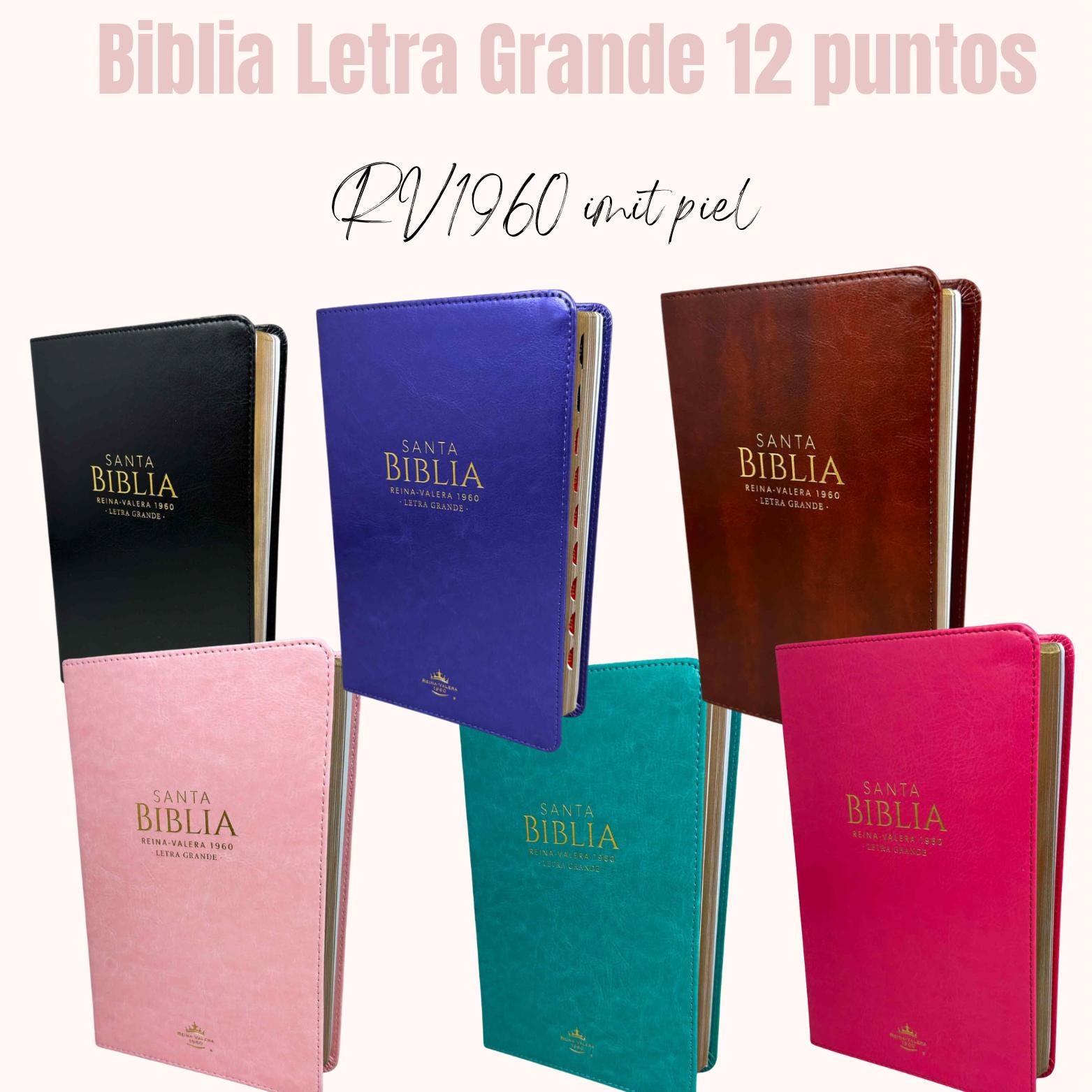 Biblia Personalizada, Biblia Letra Grande 12 Puntos, RV1960 Imit Piel ...