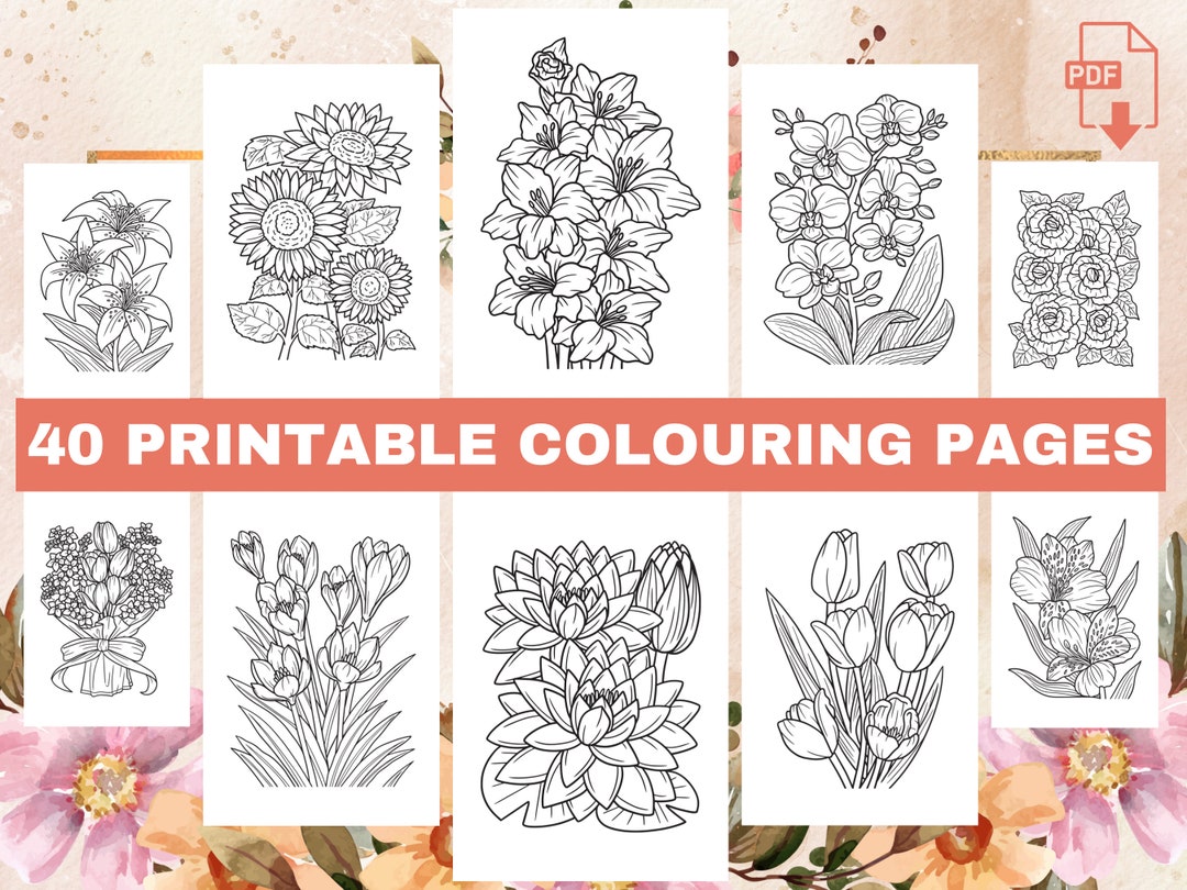 40 Flower Colouring Pages for Adults, Floral Garden Bouquet Flowers ...