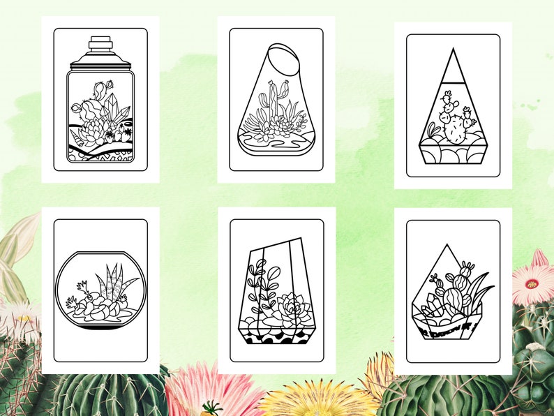 6 Bohemian Terrarium Colouring Pages for Adults, Boho Minimalist Cactus ...