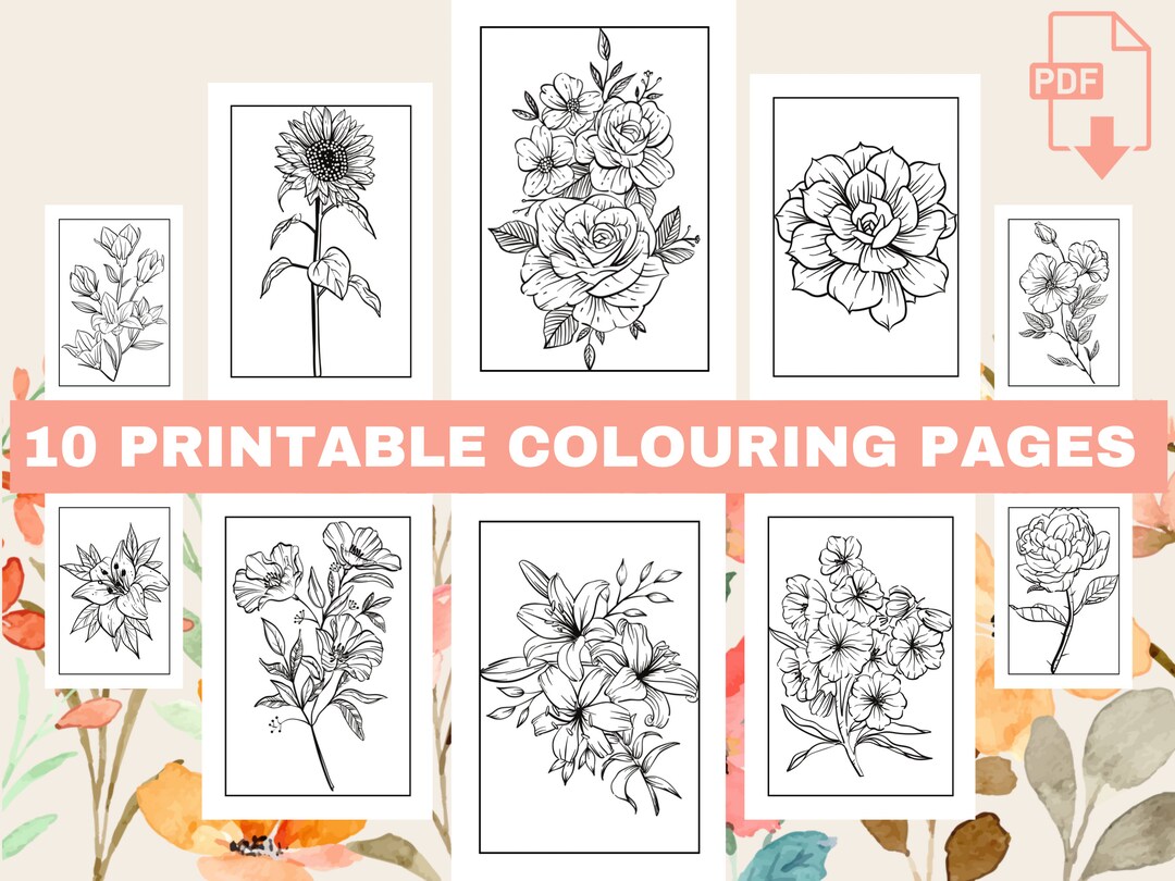 10 Flower Simple Colouring Pages for Adults, Spring Floral Miniamalist ...