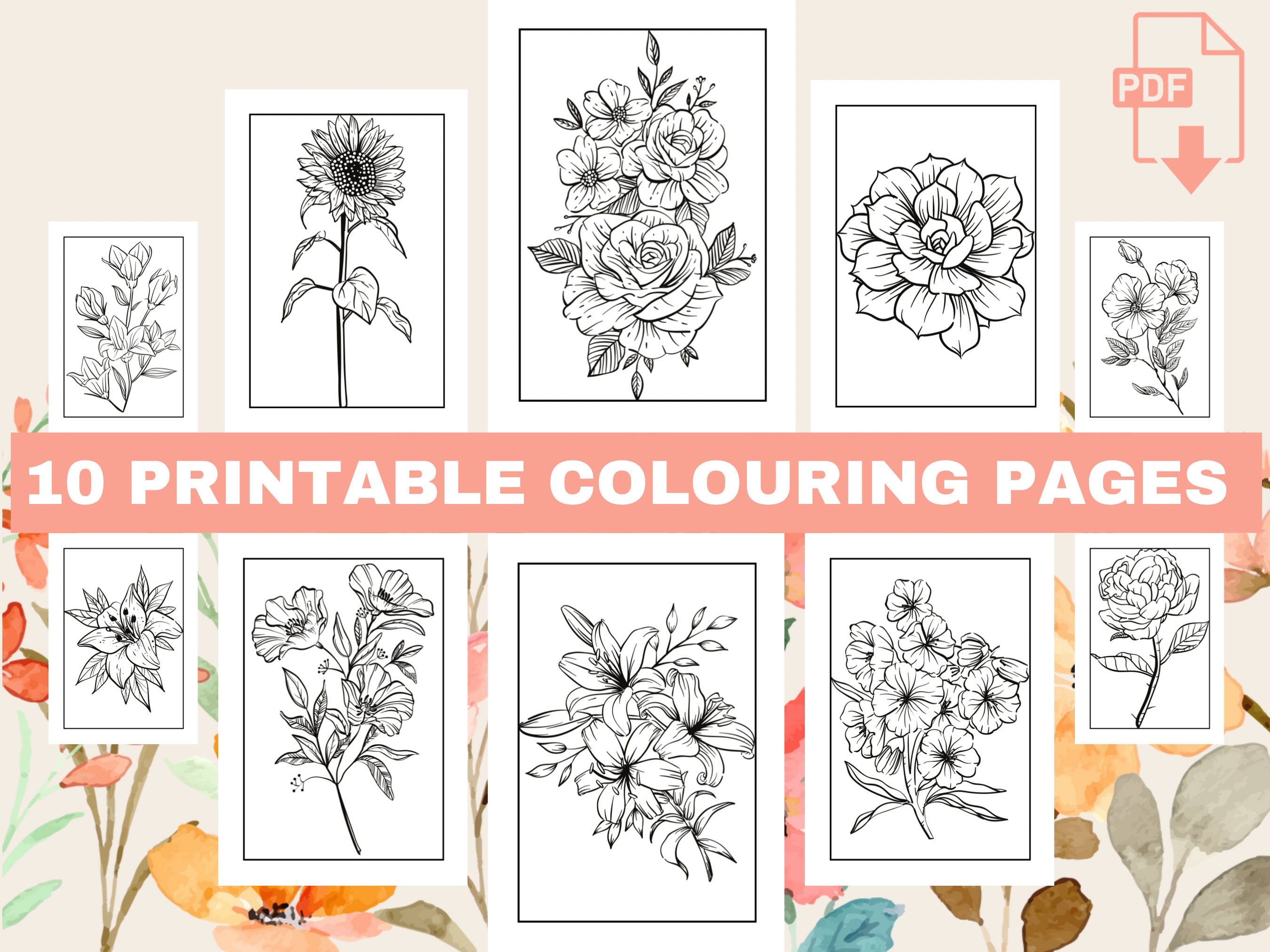 10 Flower Simple Colouring Pages for Adults, Spring Floral Miniamalist ...