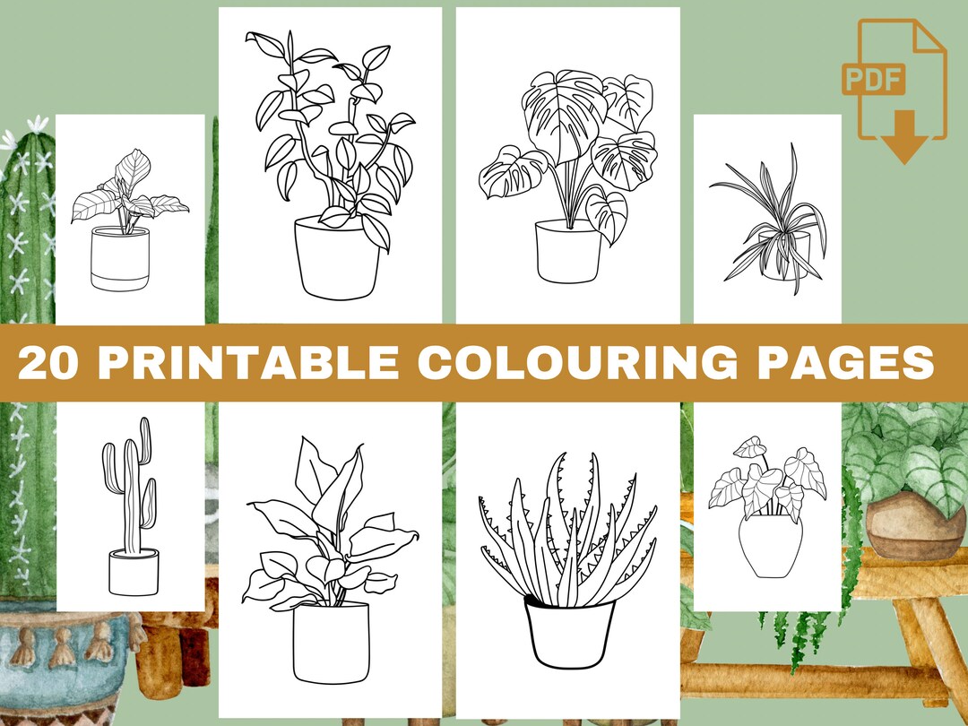 20 Pot Plant Cactus Minimalist Colouring Pages for Adults, Boho Simple ...