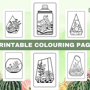 6 Bohemian Terrarium Colouring Pages for Adults, Boho Minimalist Cactus ...