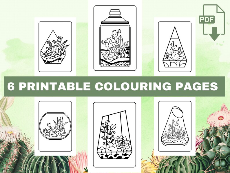6 Bohemian Terrarium Colouring Pages for Adults, Boho Minimalist Cactus ...