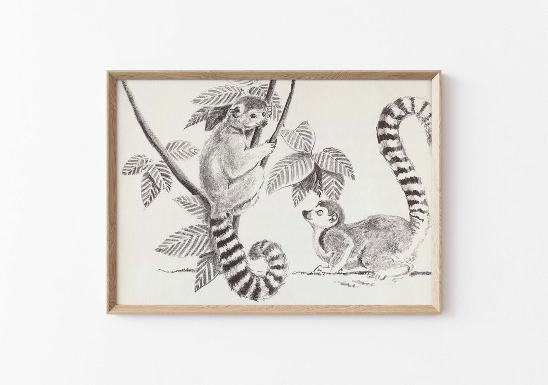 Cute Lemur Art Print Primate Wall Art Illustration Lemur Madagascar ...