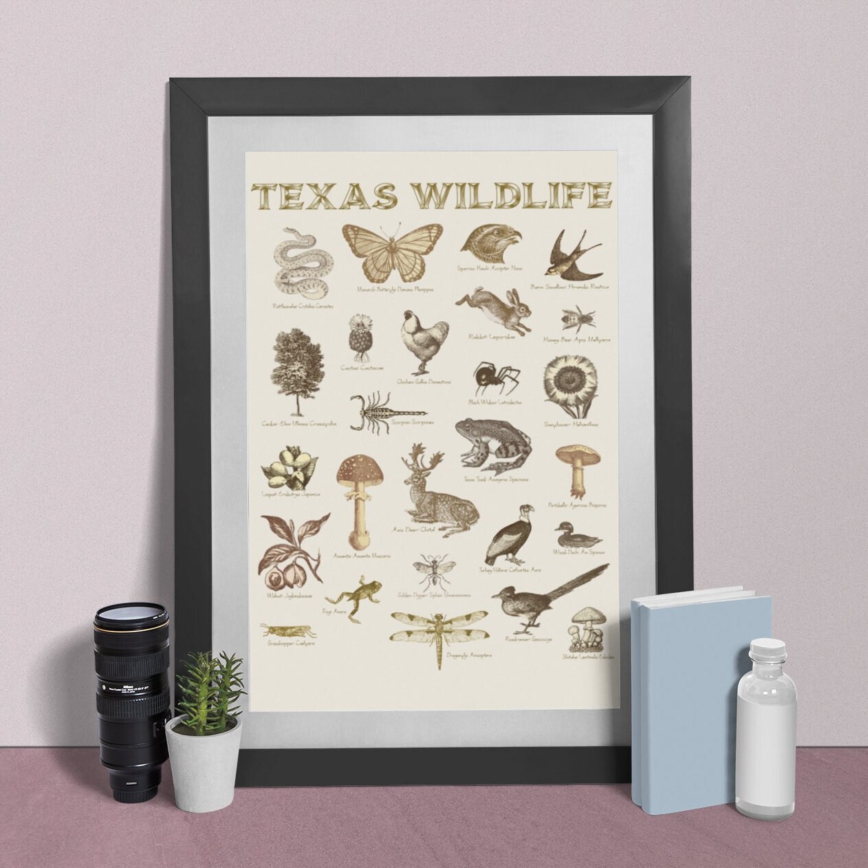 Texas Wildlife Poster - Texas Plants & Animals Poster - Science Poster ...