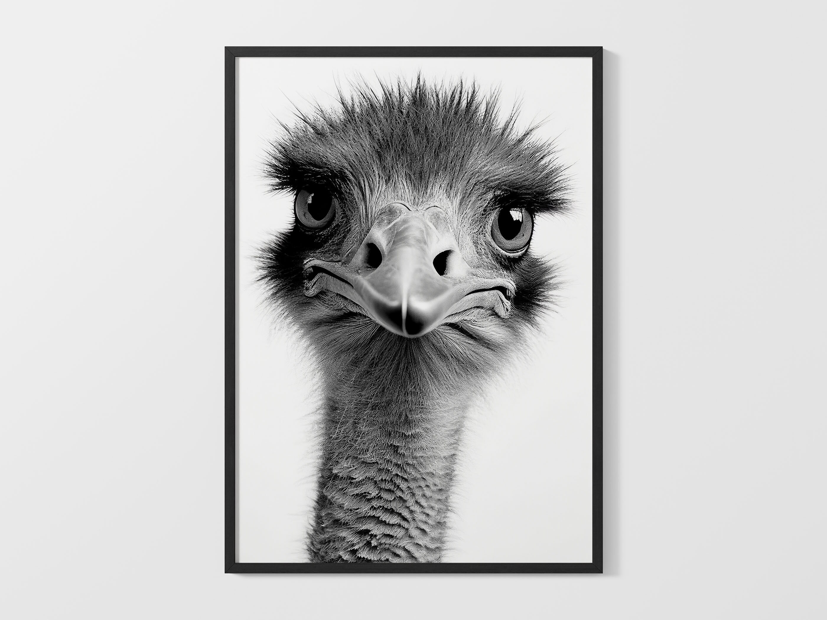 Ostrich Portrait | Printable Wall Art | Digital Download | Wall Poster ...