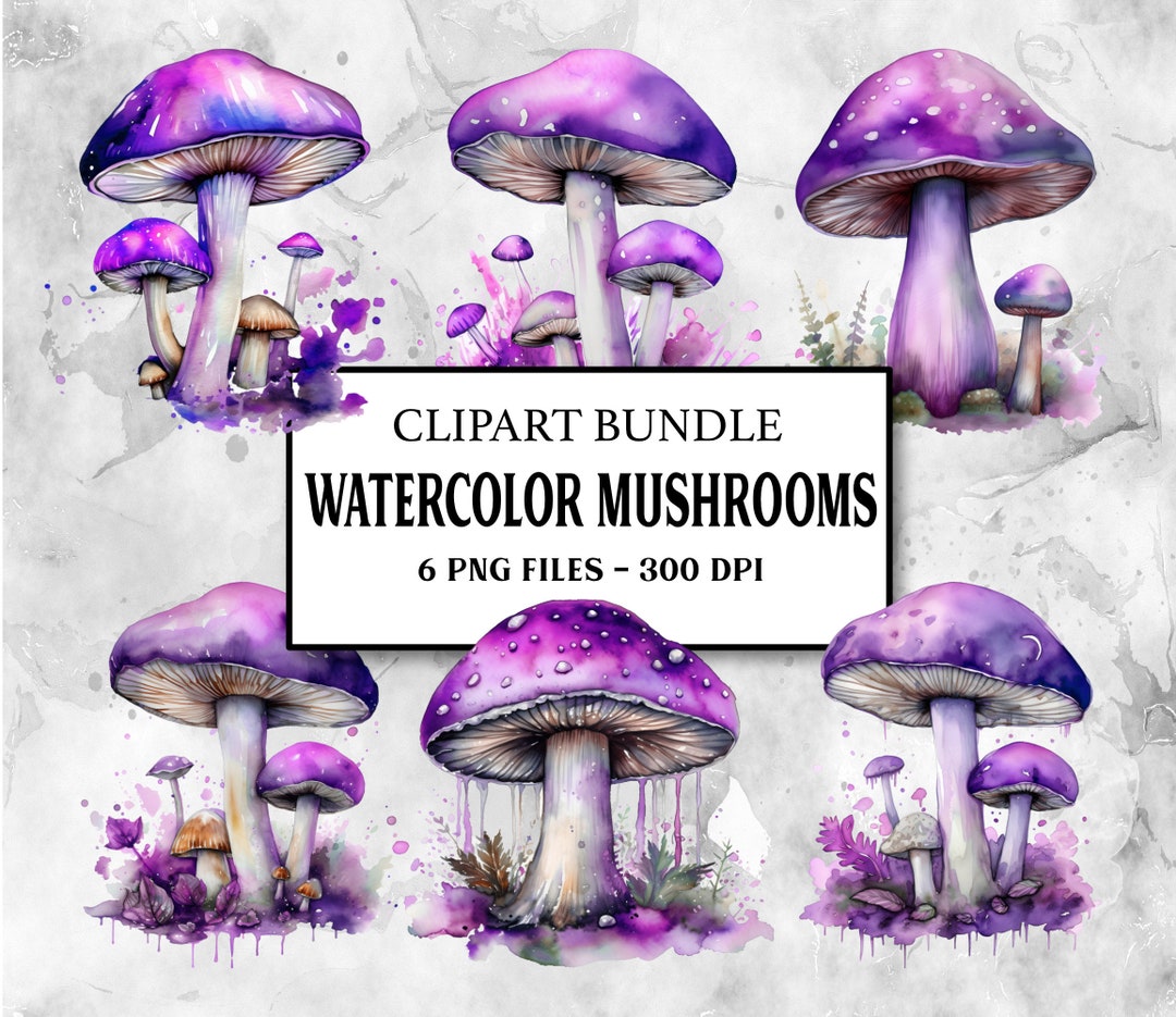 Watercolour Mushroom Clipart, 6pc Purple Mushroom PNG Illustrations ...