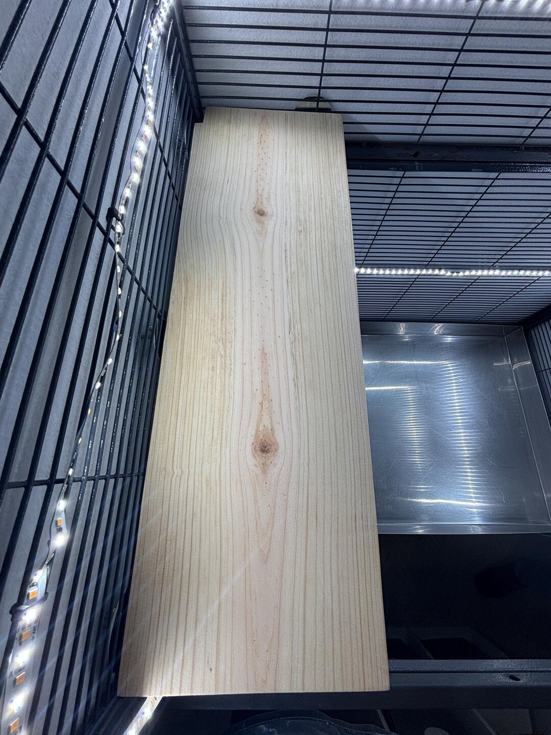 1x8 Corner Shelves for Critter/ferret Nation - Etsy