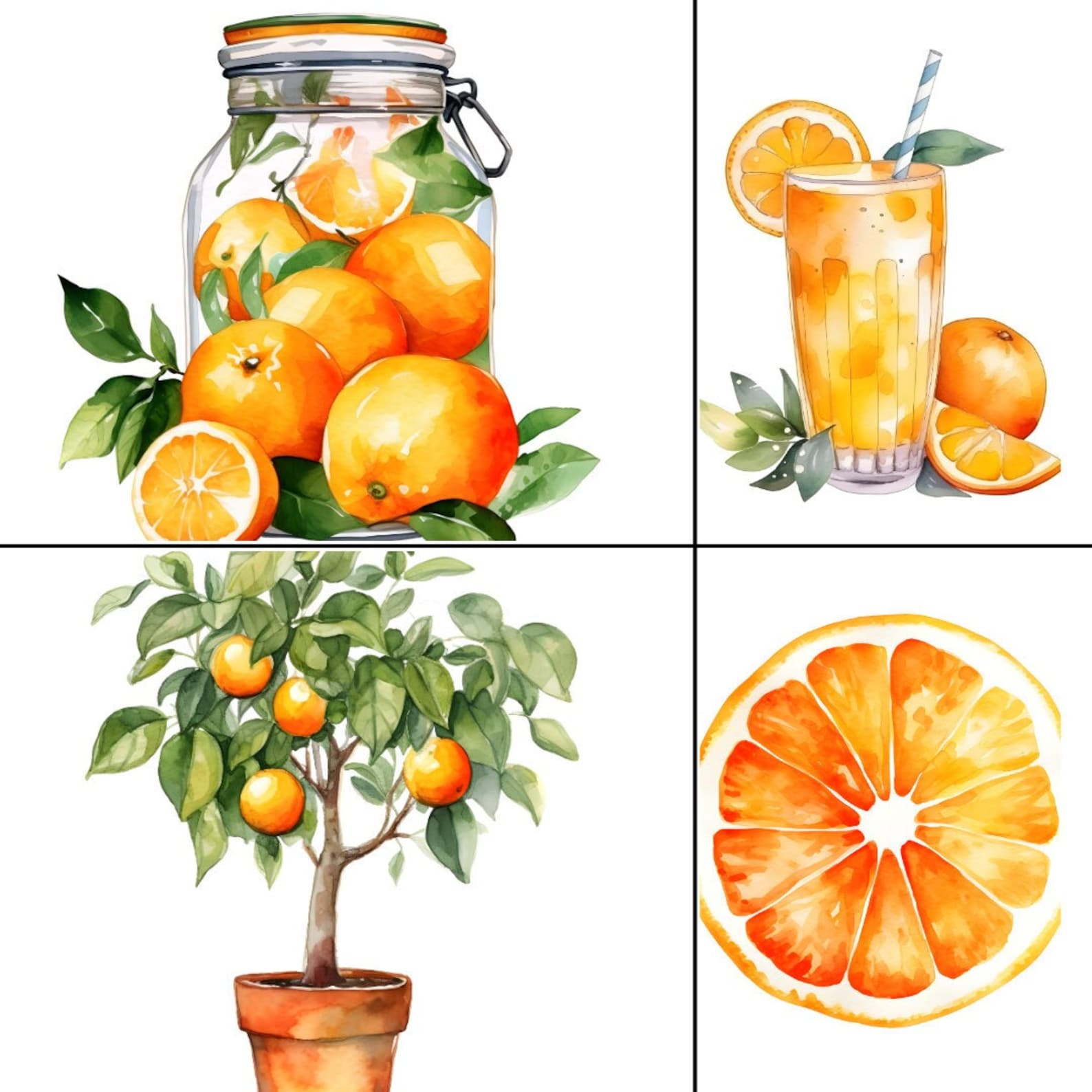 Watercolor Oranges- Citrus Clipart, Digital PNG, High Resolution ...