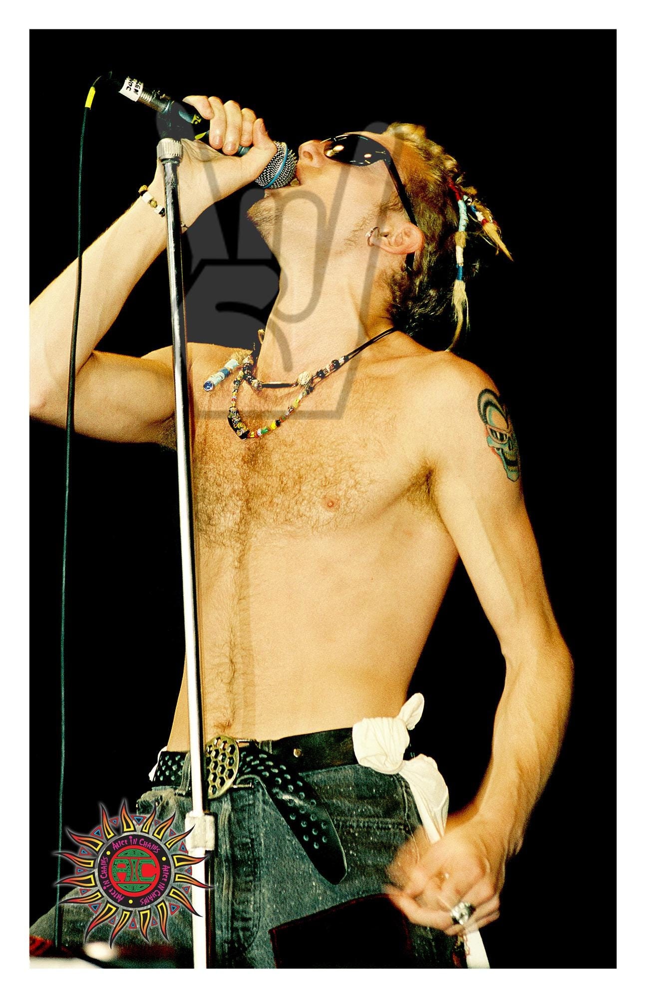 ICONIC CONCERT Alice in Chains 1991 Live in Concert 11X17 Photo Poster ...