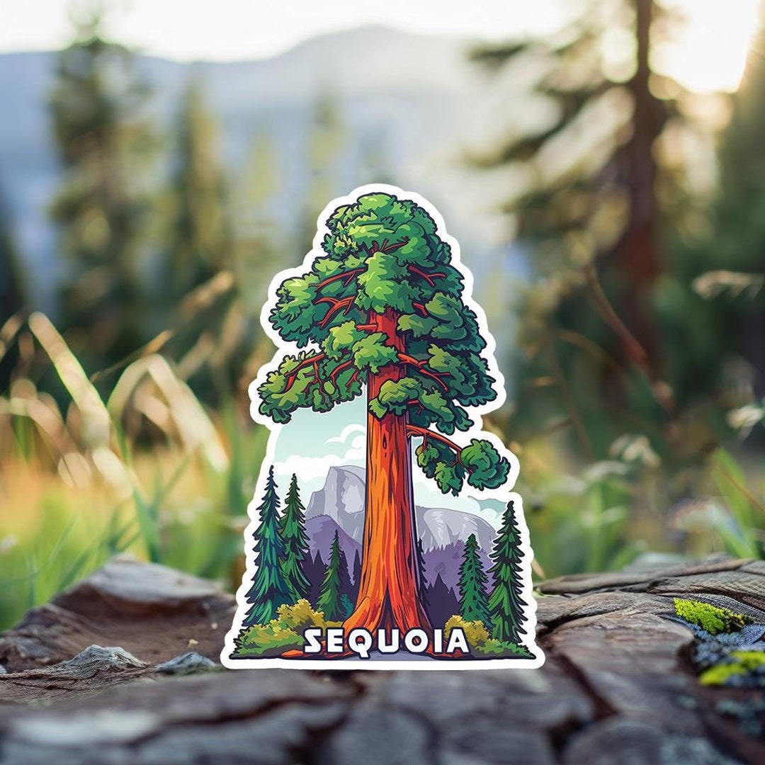 Sequoia National Park Sticker - Giant Tree Nature Decal, California ...